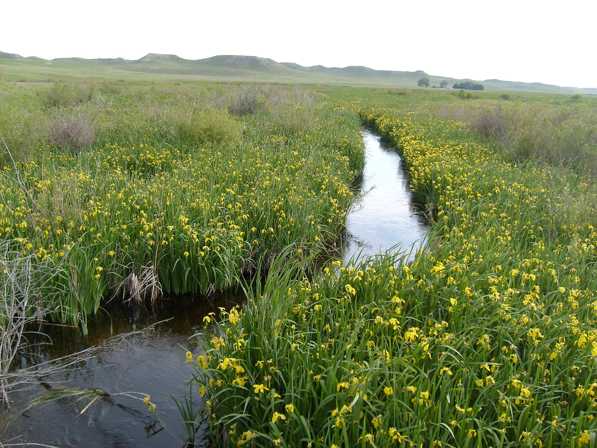 Niobrara National Scenic River - Find Your Park