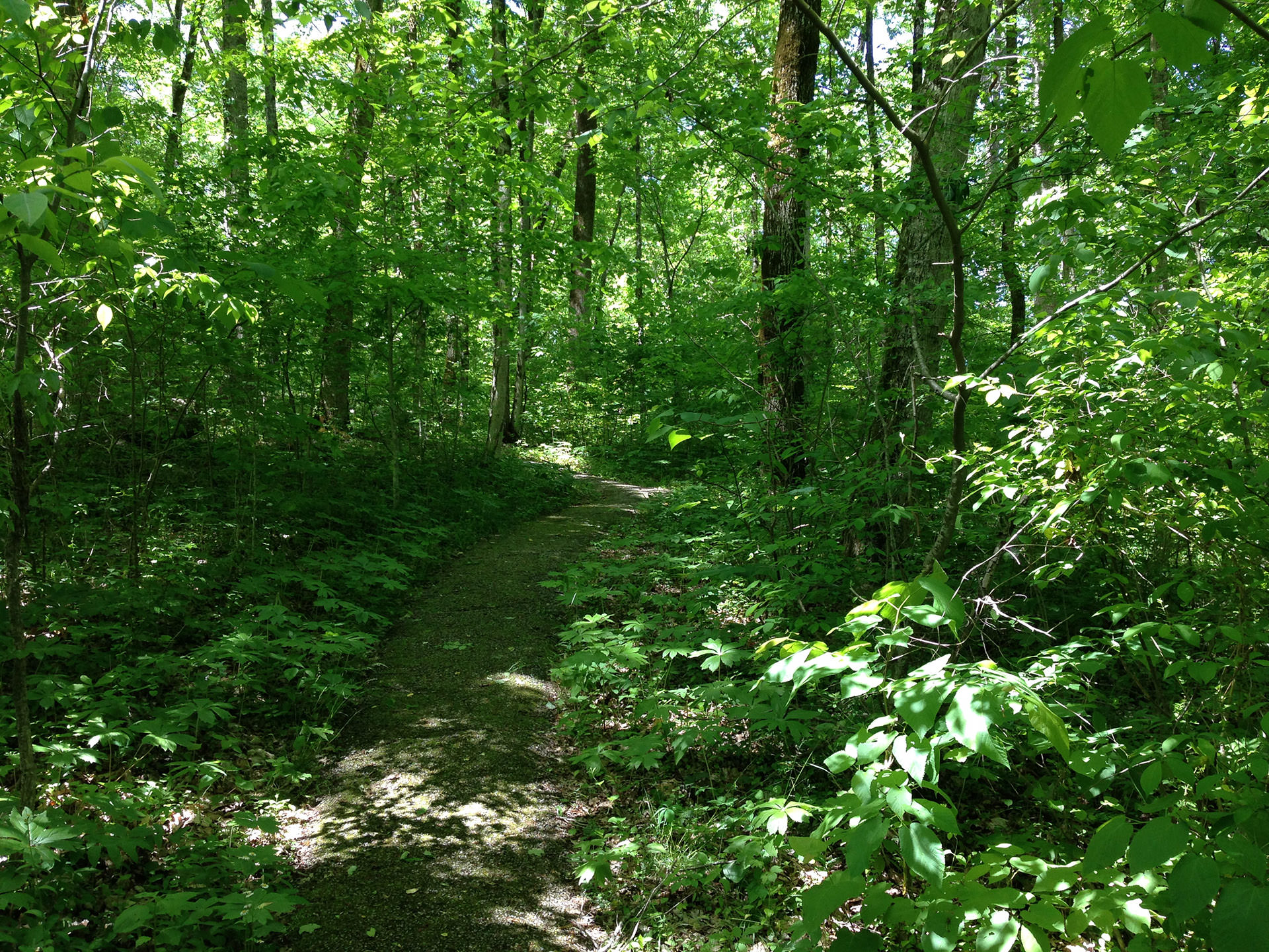 Russell Cave National Monument - Find Your Park