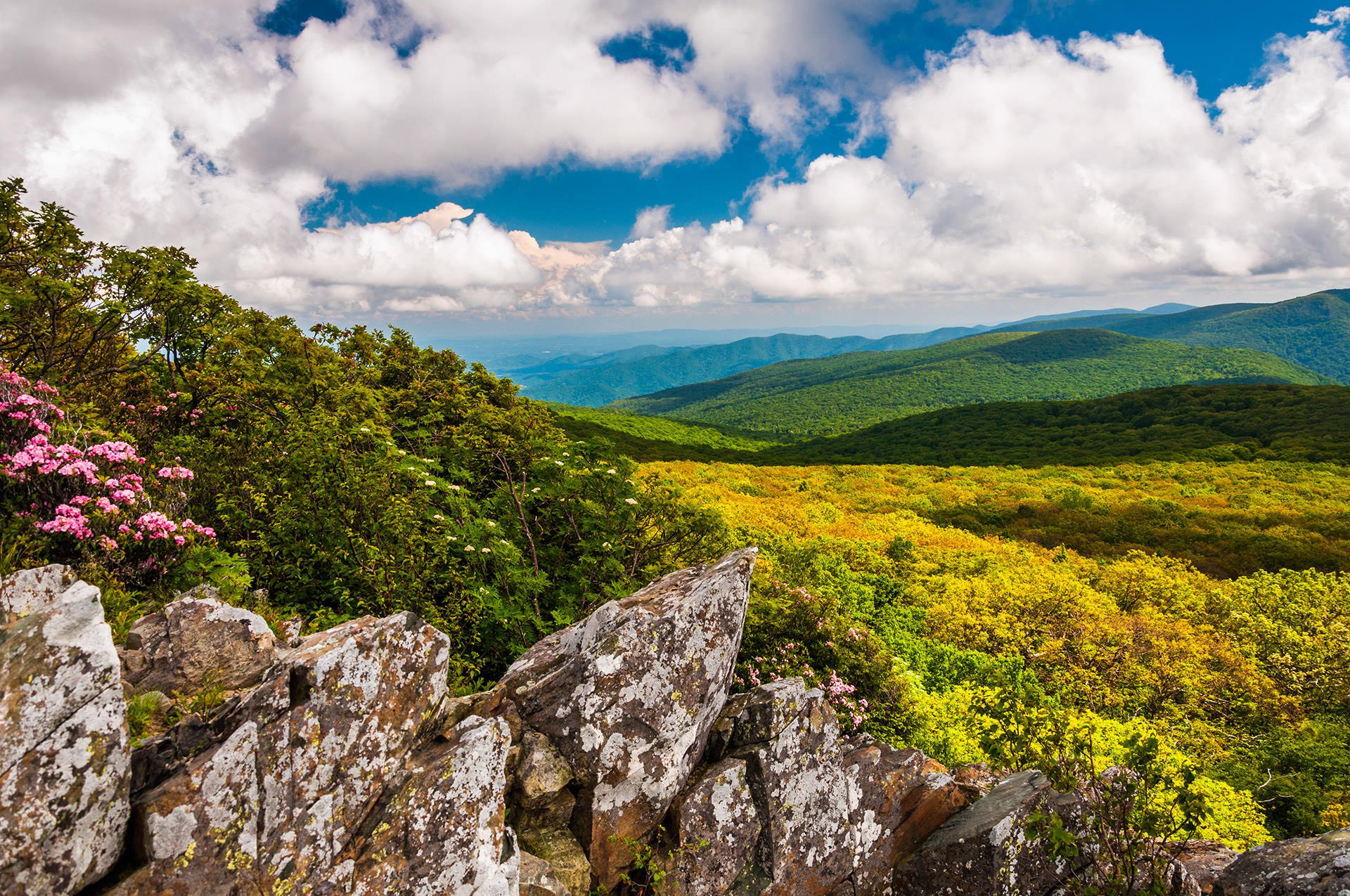 Parque Nacional Shenandoah - Encuentra tu parque